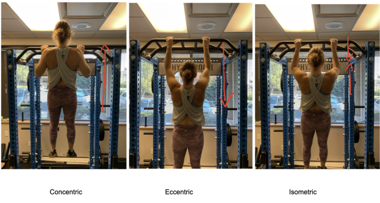 Breaking down the pull up for climbers - Physio Room