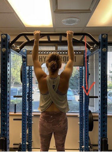 Breaking down the pull up for climbers - Physio Room