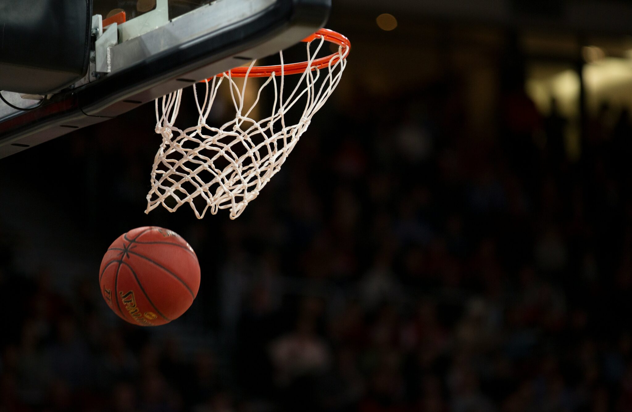 How to Increase Your Vertical Jump and Speed for Basketball - Physio Room